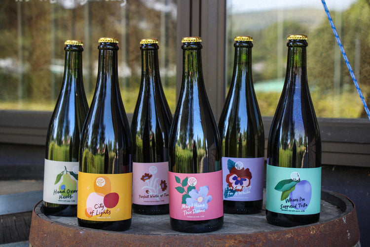 Illustration – Sophie Potter